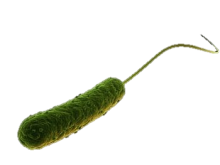 CleanPath - Diversey