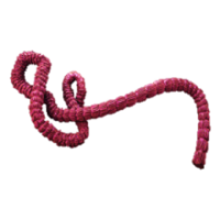 Ebola - Diversey